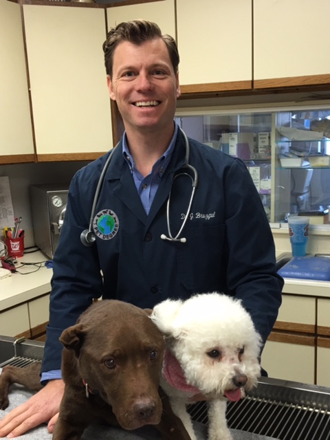 About Us – Buffalo City Vet